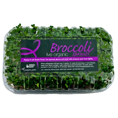 Organic Broccoli Sprouts