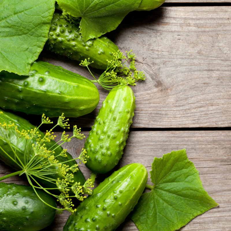 Unveiling the Versatile Wonders of Organic Cucumbers